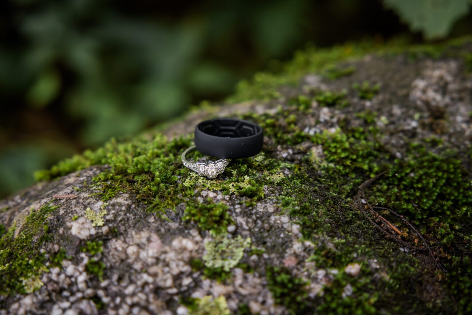 Midday Micro Wedding in the Smoky Mountains - Megan and Tom - Chapel in ...