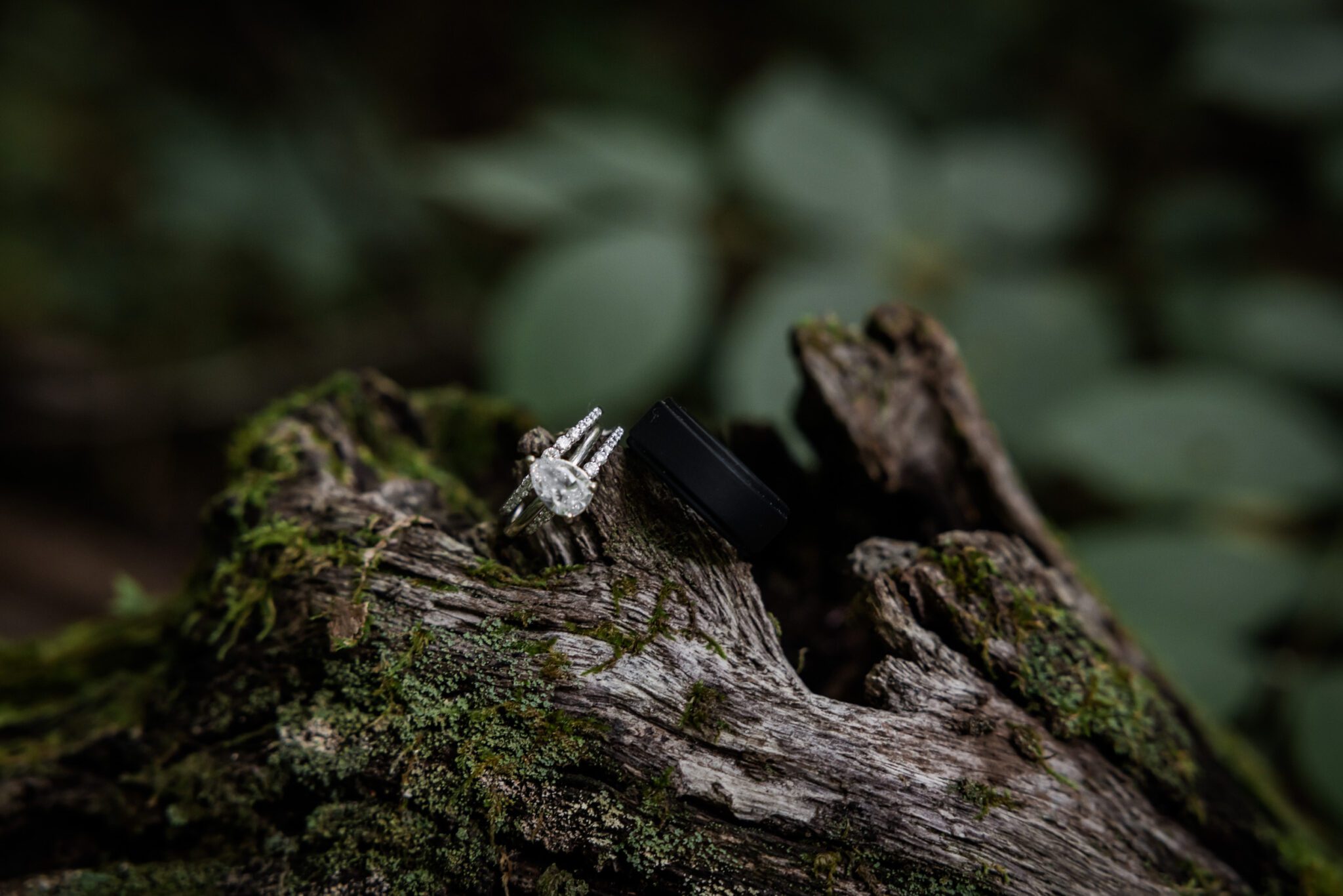 Quick Easy Elopement - Misty and Jeromy - Chapel in the Hollow