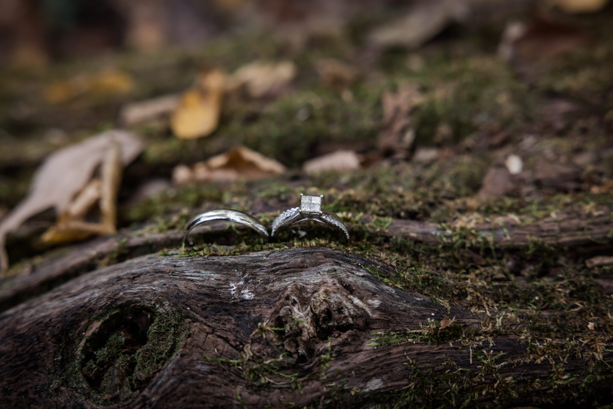Midday Fall Micro Wedding - Paula and Darren - Chapel in the Hollow