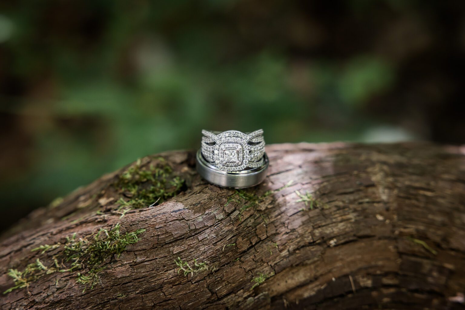 October Mini Wedding - Bree and Jeffrey - Chapel in the Hollow