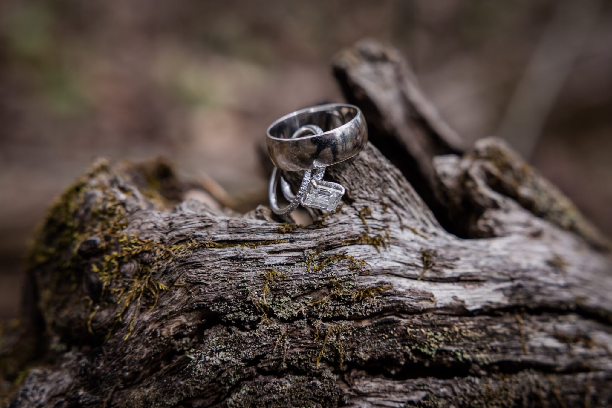 Destination Micro Wedding - Bree and Bobby - Chapel in the Hollow